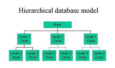Database Management Software: Features, Types, and Uses