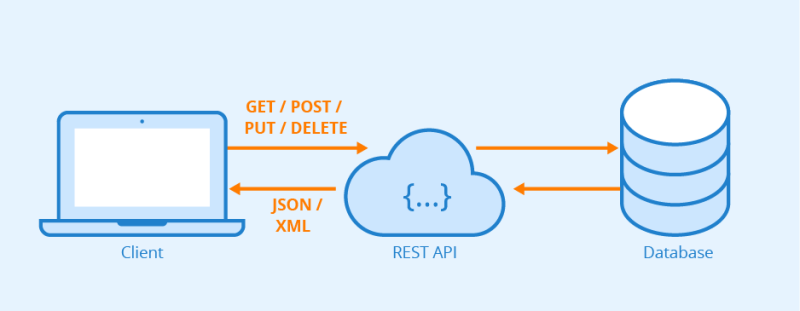 A Complete Guide To The Different Types Of Apis Astera